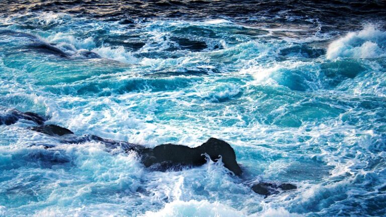 River and Mercantile becomes River Global in rebrand | Portfolio Adviser