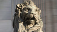 Eight SJP funds flagged for failing to deliver value | Portfolio Adviser